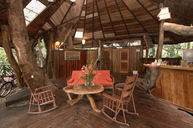 Tree House Lodge Review: What To REALLY Expect If You Stay